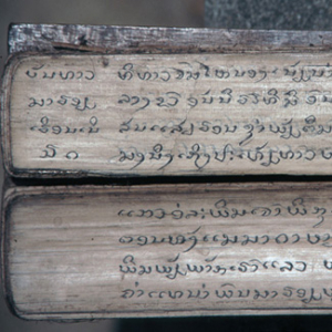 DLLM: About DLLM Collection - CrossAsia Digital