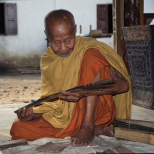 DLLM: About DLLM Collection - CrossAsia Digital