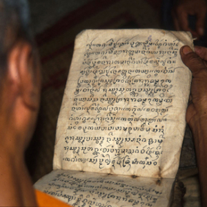 DLLM: About DLLM Collection - CrossAsia Digital